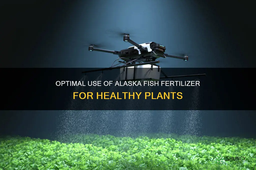 Optimal Use Of Alaska Fish Fertilizer For Healthy Plants | ShunCy