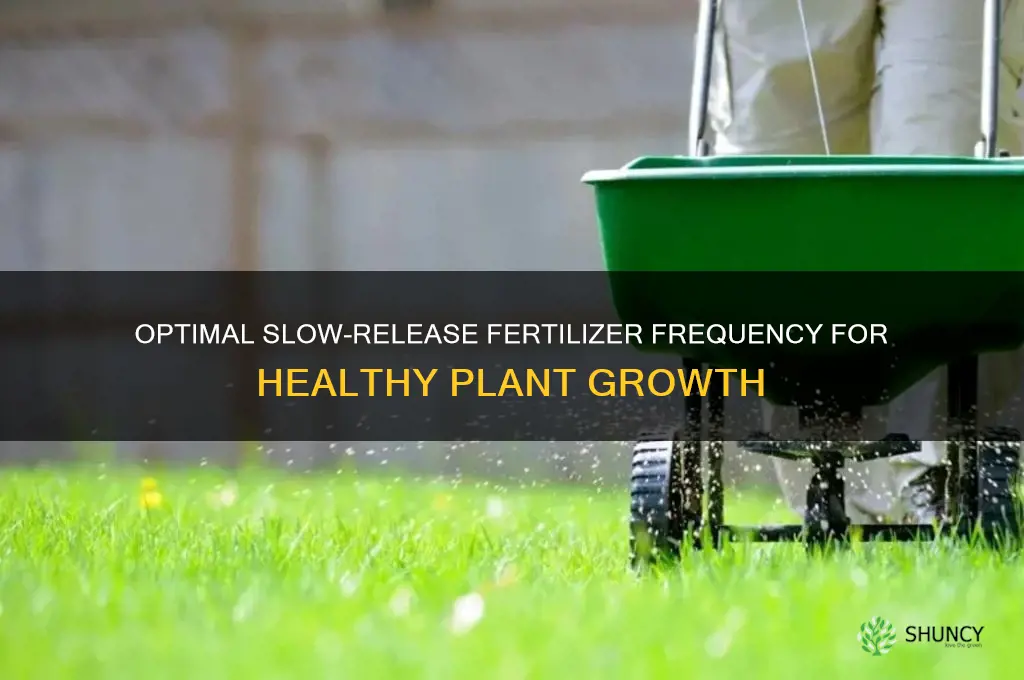 Optimal Slow-Release Fertilizer Frequency For Healthy Plant Growth | ShunCy