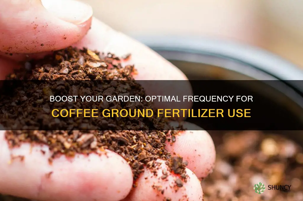 Boost Your Garden: Optimal Frequency For Coffee Ground Fertilizer Use ...