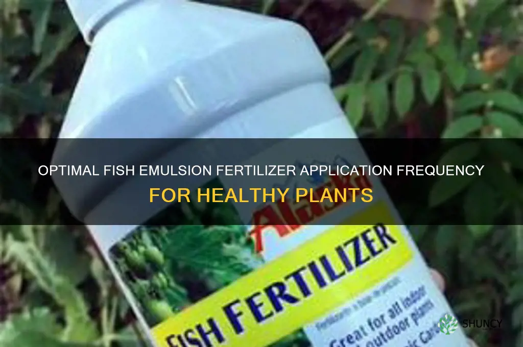 Optimal Fish Emulsion Fertilizer Application Frequency For Healthy ...