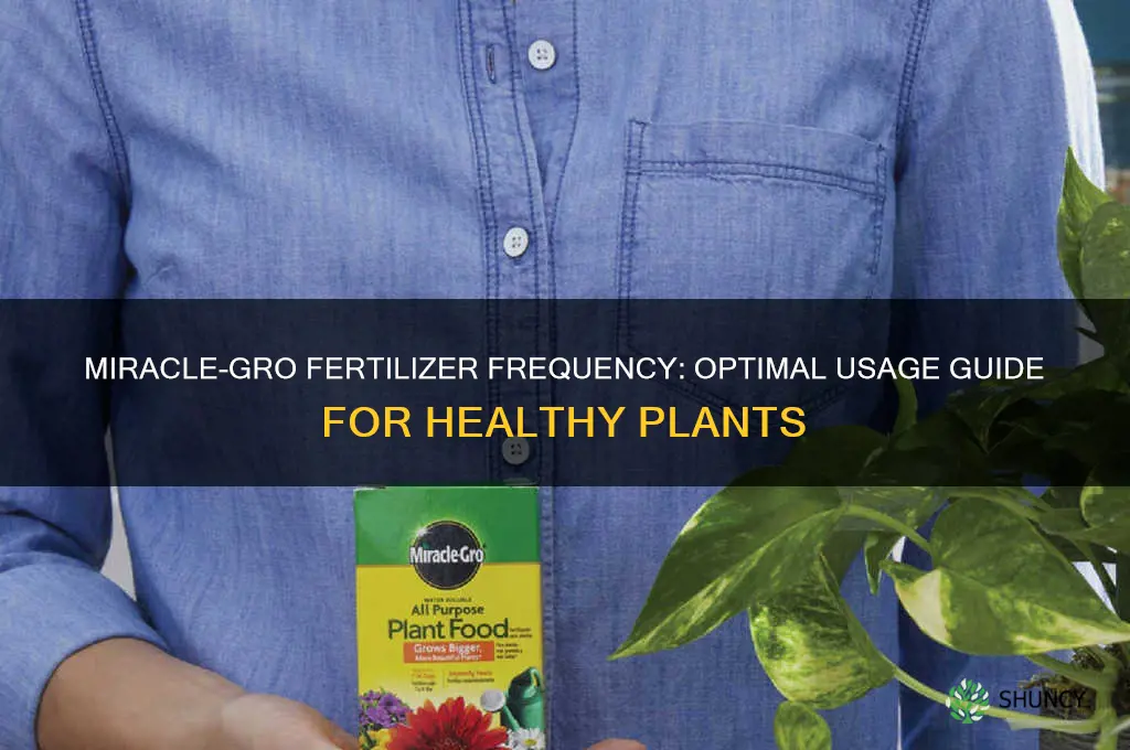 Miracle-Gro Fertilizer Frequency: Optimal Usage Guide For Healthy ...