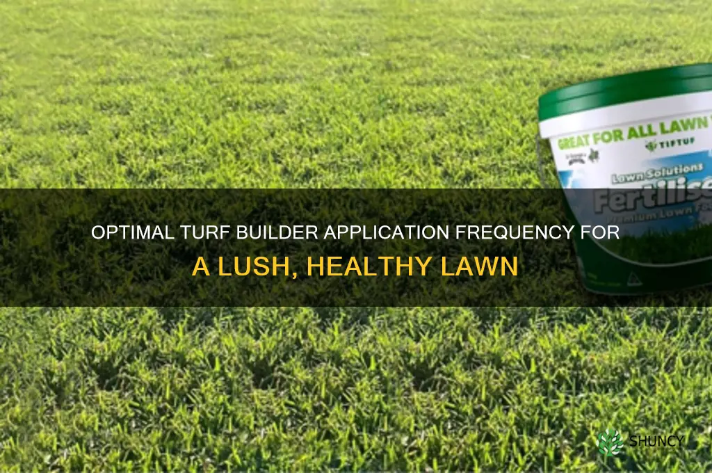 Optimal Turf Builder Application Frequency For A Lush, Healthy Lawn ...