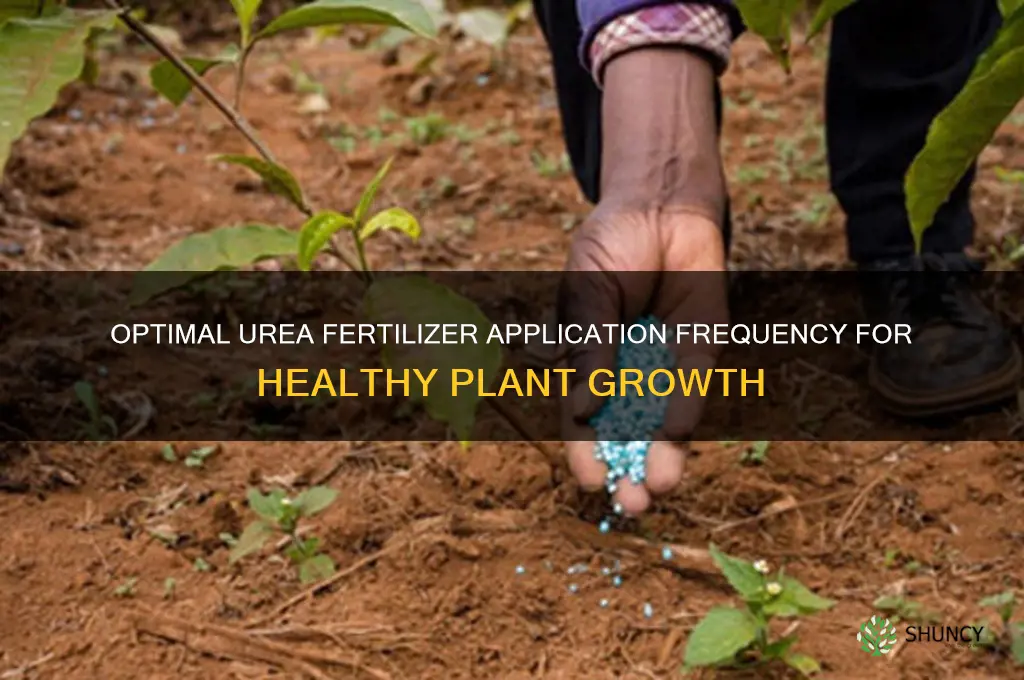 Optimal Urea Fertilizer Application Frequency For Healthy Plant Growth ...