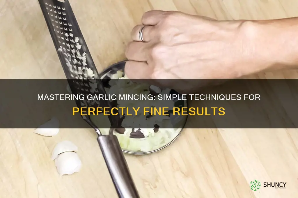 Mastering Garlic Mincing: Simple Techniques For Perfectly Fine Results ...