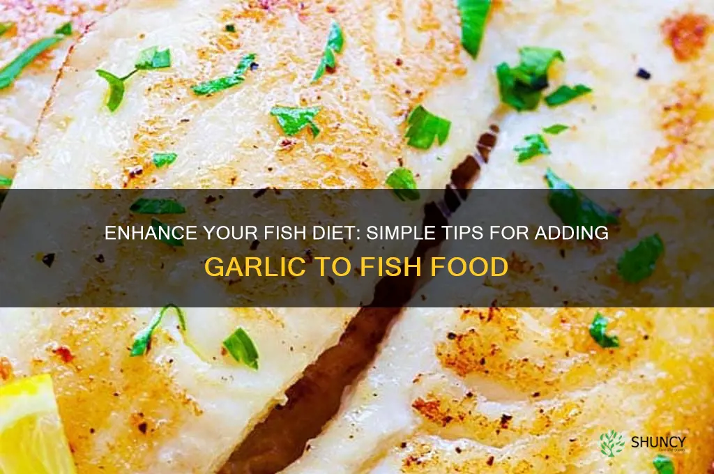 Enhance Your Fish Diet: Simple Tips For Adding Garlic To Fish Food | ShunCy