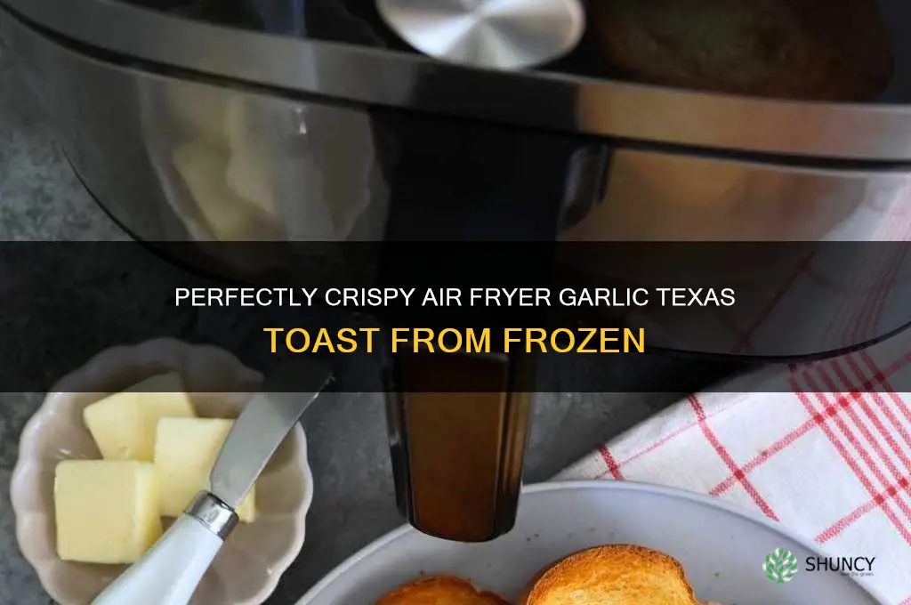 Perfectly Crispy Air Fryer Garlic Texas Toast From Frozen | ShunCy