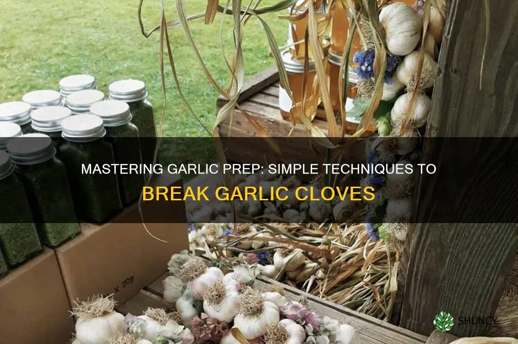 Mastering Garlic Prep: Simple Techniques To Break Garlic Cloves | ShunCy