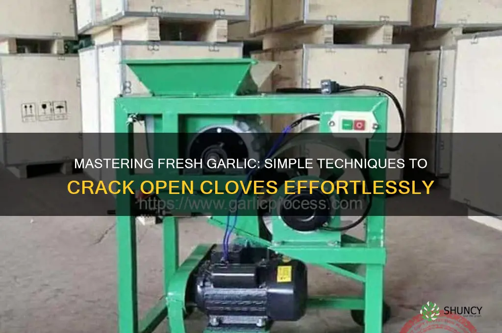 Mastering Fresh Garlic: Simple Techniques To Crack Open Cloves ...