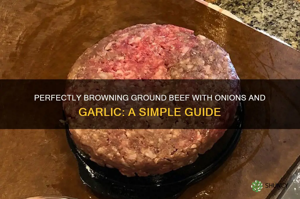 Perfectly Browning Ground Beef With Onions And Garlic: A Simple Guide ...