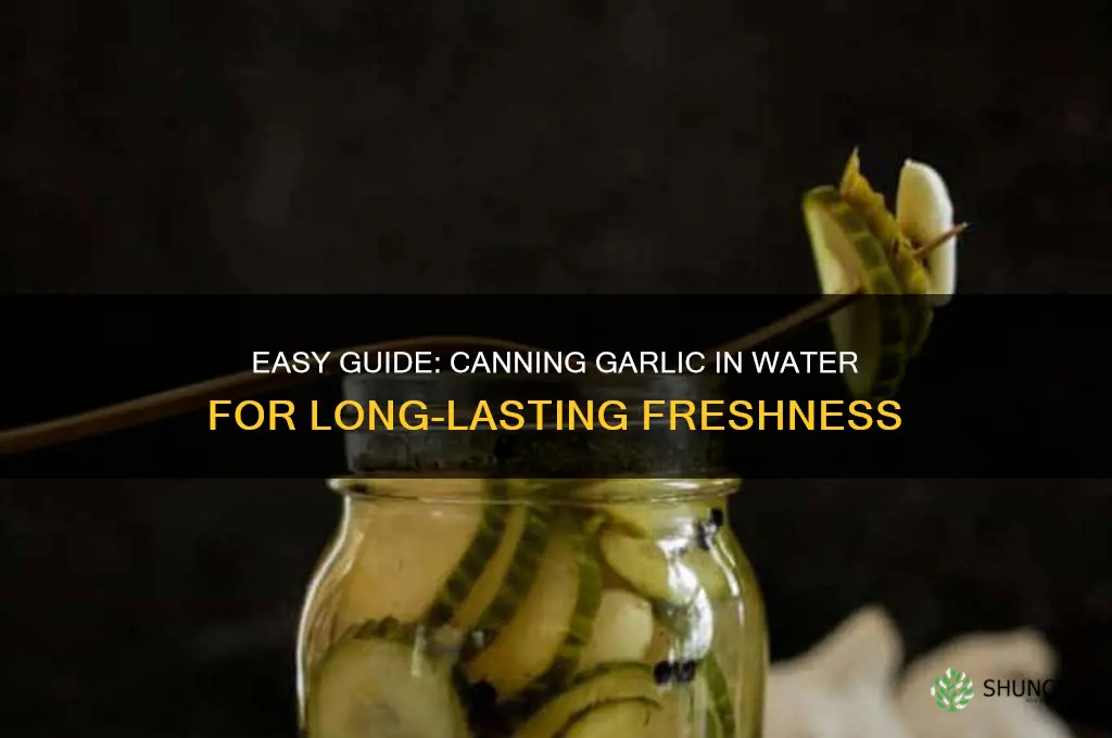 Easy Guide: Canning Garlic In Water For Long-Lasting Freshness | ShunCy