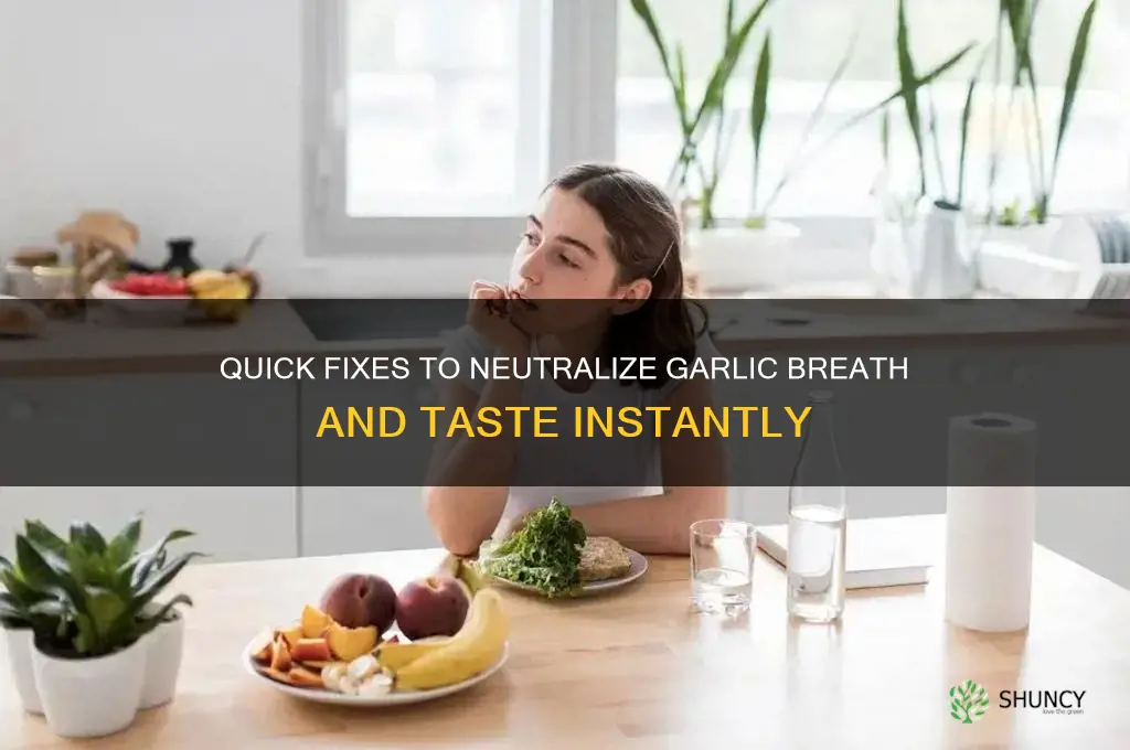 Quick Fixes To Neutralize Garlic Breath And Taste Instantly | ShunCy
