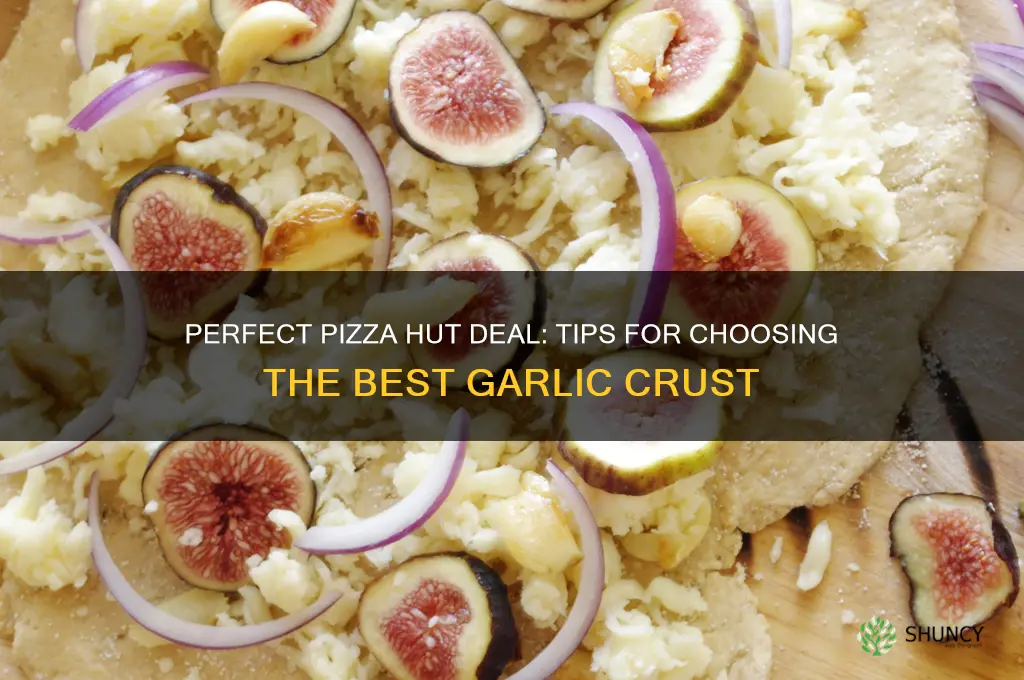 Perfect Pizza Hut Deal: Tips For Choosing The Best Garlic Crust | ShunCy