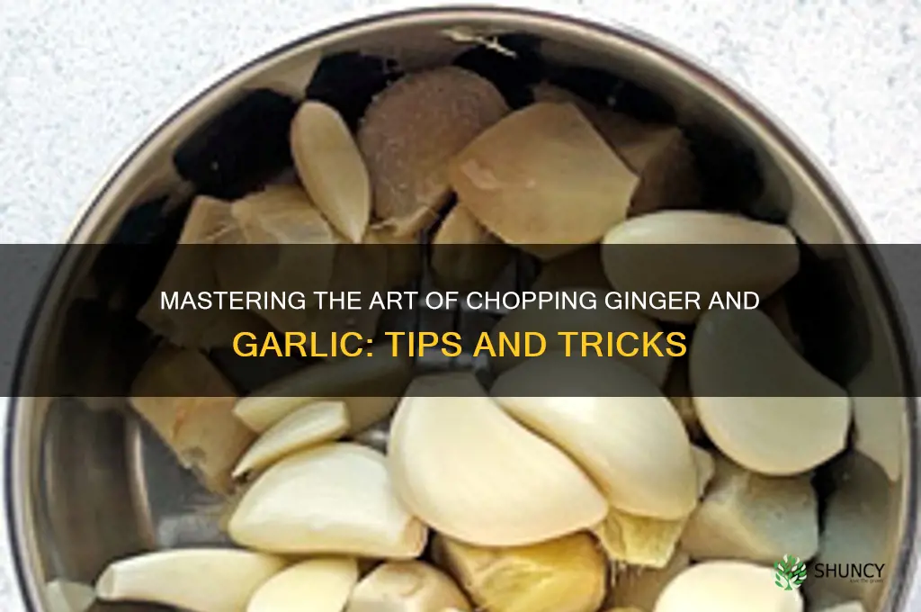 Mastering The Art Of Chopping Ginger And Garlic: Tips And Tricks | ShunCy