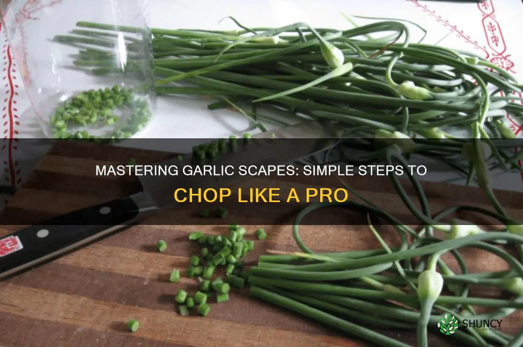Mastering Garlic Scapes: Simple Steps To Chop Like A Pro | ShunCy