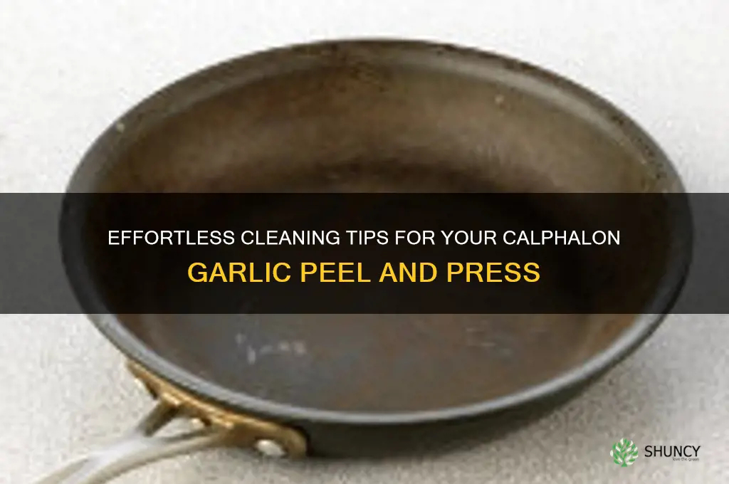Effortless Cleaning Tips For Your Calphalon Garlic Peel And Press | ShunCy