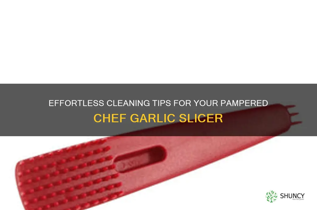 Effortless Cleaning Tips For Your Pampered Chef Garlic Slicer | ShunCy