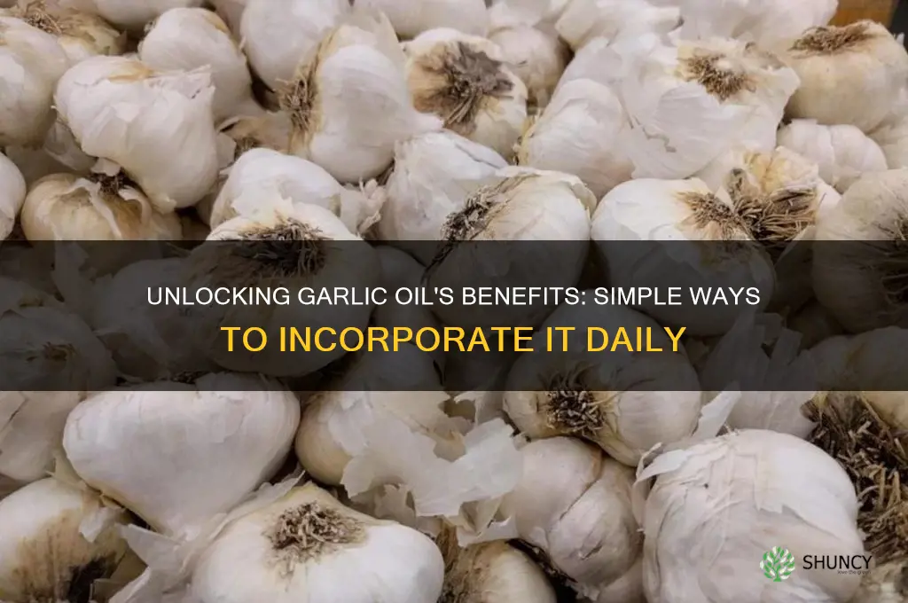Unlocking Garlic Oil's Benefits: Simple Ways To Incorporate It Daily ...