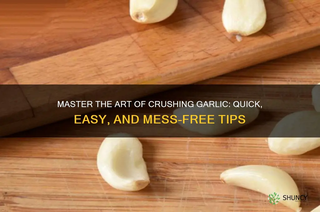 Master The Art Of Crushing Garlic: Quick, Easy, And Mess-Free Tips | ShunCy