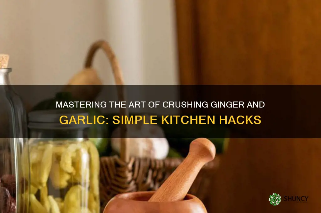 Mastering The Art Of Crushing Ginger And Garlic: Simple Kitchen Hacks ...