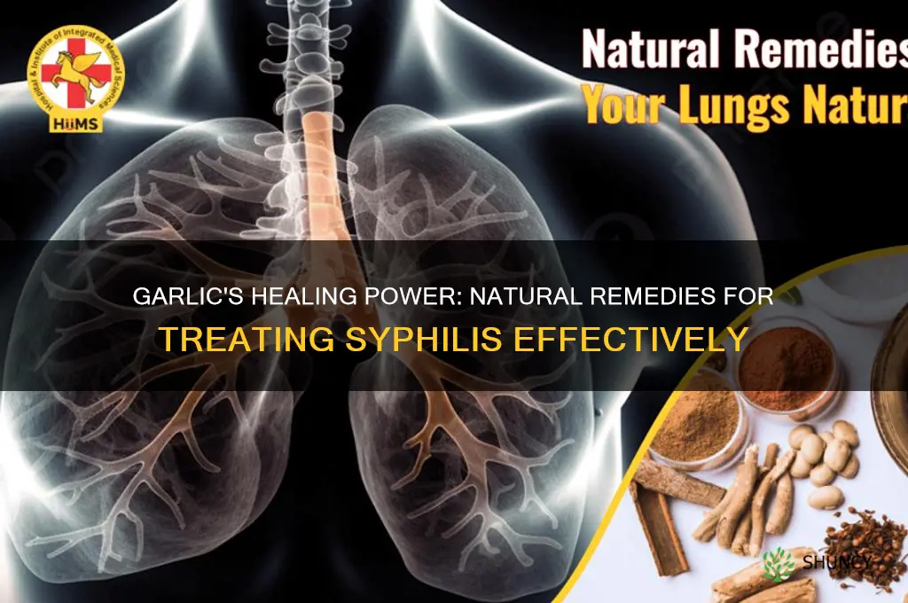 Garlic's Healing Power: Natural Remedies For Treating Syphilis ...