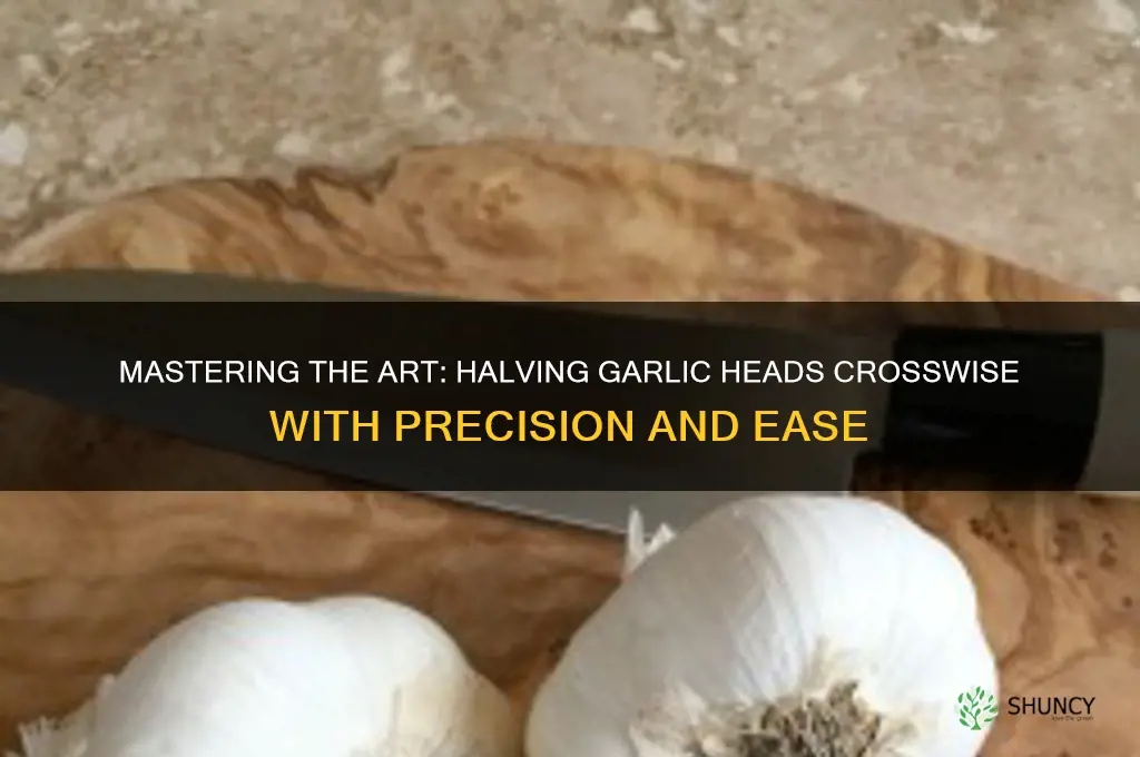 Mastering The Art: Halving Garlic Heads Crosswise With Precision And ...