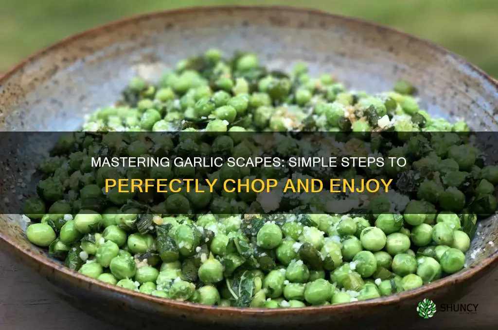 Mastering Garlic Scapes: Simple Steps To Perfectly Chop And Enjoy | ShunCy