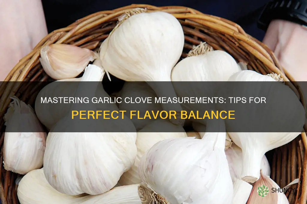 Mastering Garlic Clove Measurements: Tips For Perfect Flavor Balance ...