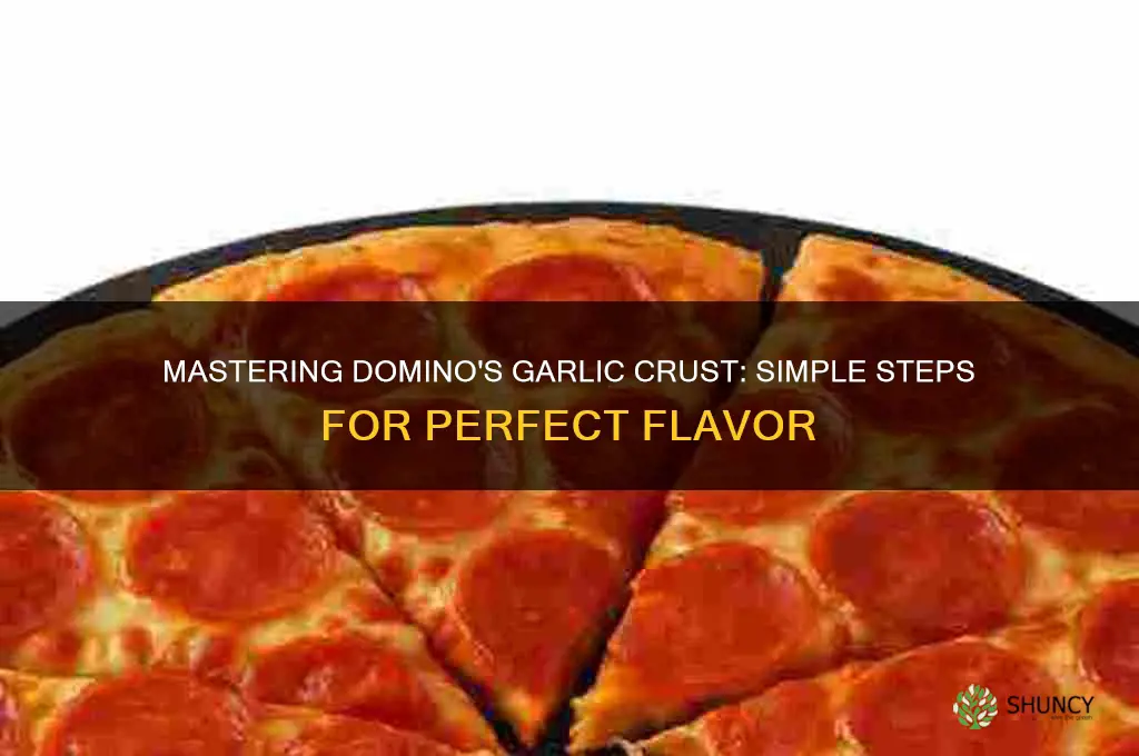 Mastering Domino's Garlic Crust: Simple Steps For Perfect Flavor | ShunCy