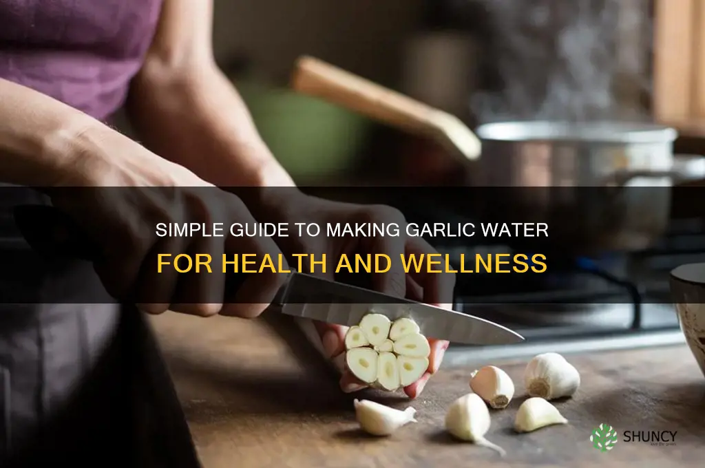 Simple Guide To Making Garlic Water For Health And Wellness | ShunCy