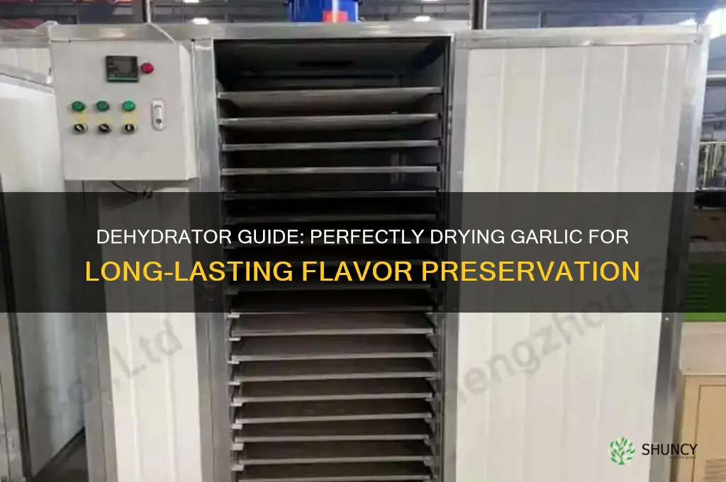 Dehydrator Guide: Perfectly Drying Garlic For Long-Lasting Flavor ...