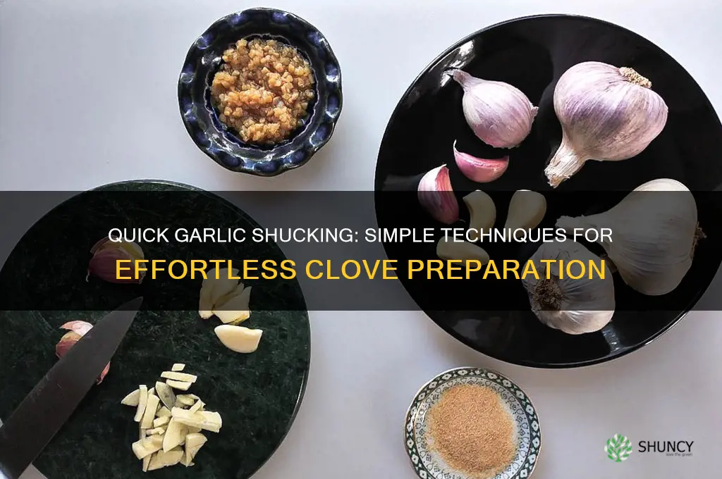 Quick Garlic Shucking: Simple Techniques For Effortless Clove ...