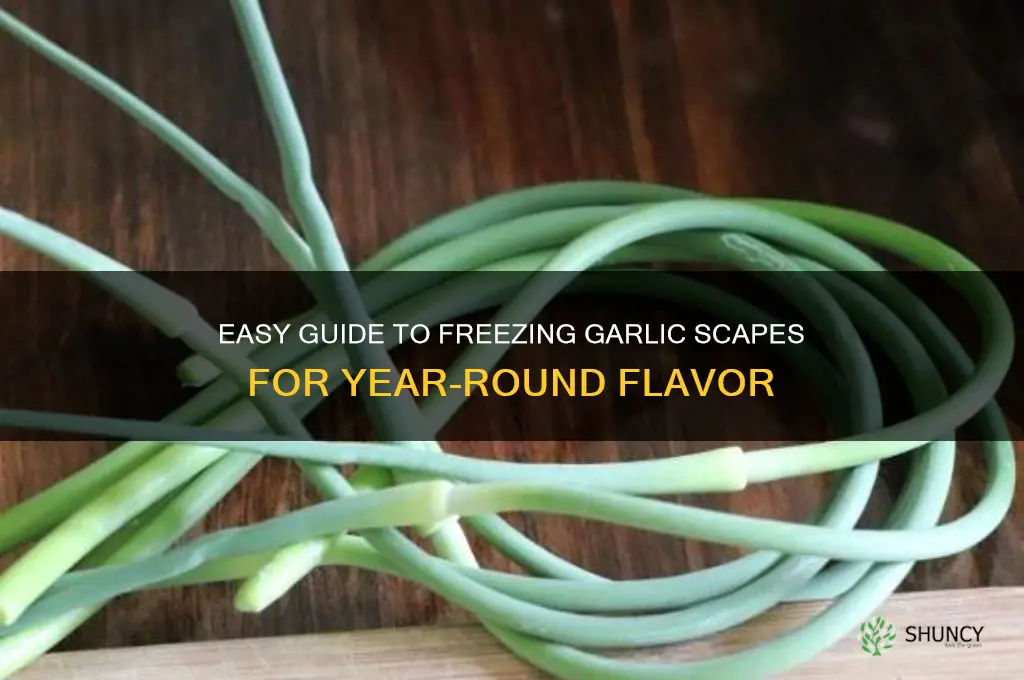 Easy Guide To Freezing Garlic Scapes For Year-Round Flavor | ShunCy