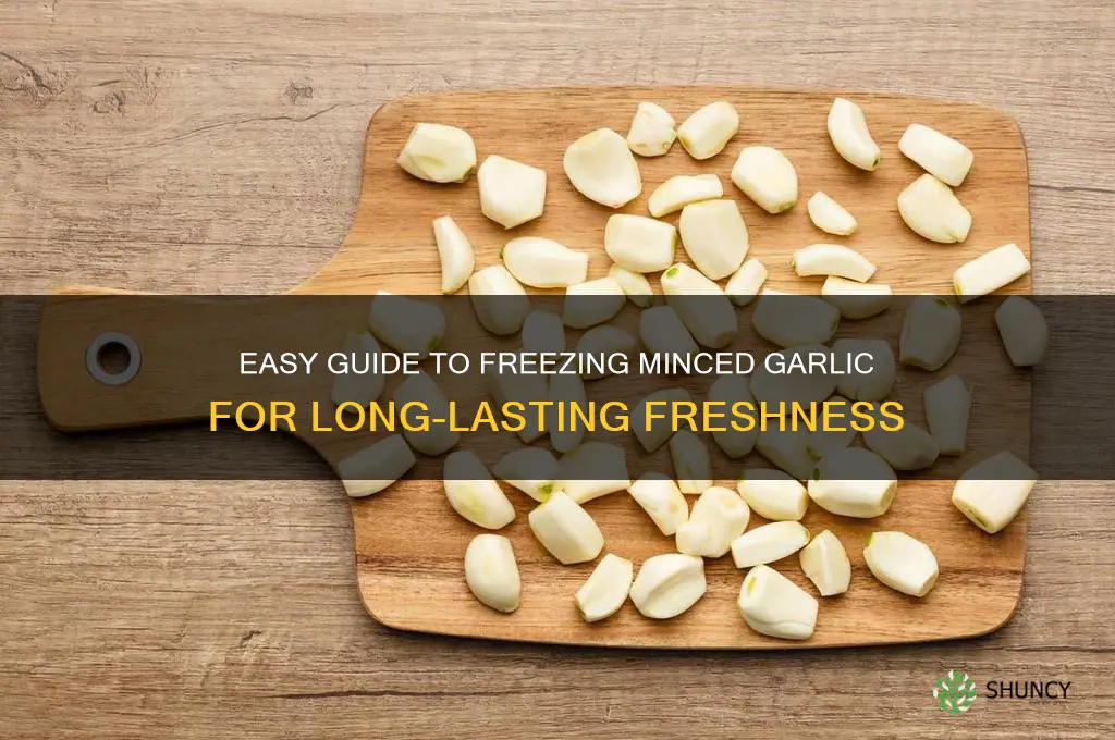 Easy Guide To Freezing Minced Garlic For Long-Lasting Freshness | ShunCy