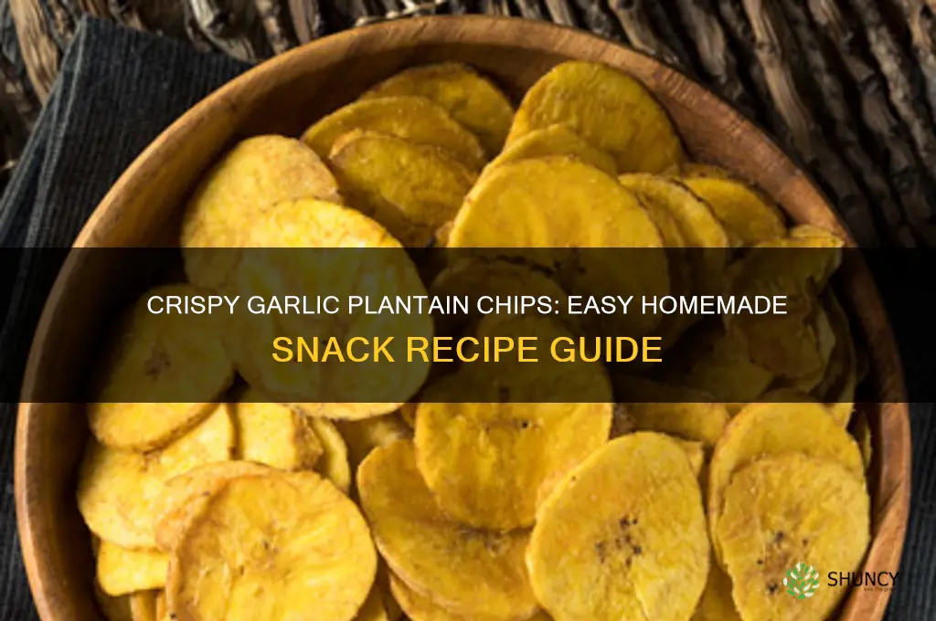 Crispy Garlic Plantain Chips: Easy Homemade Snack Recipe Guide | ShunCy