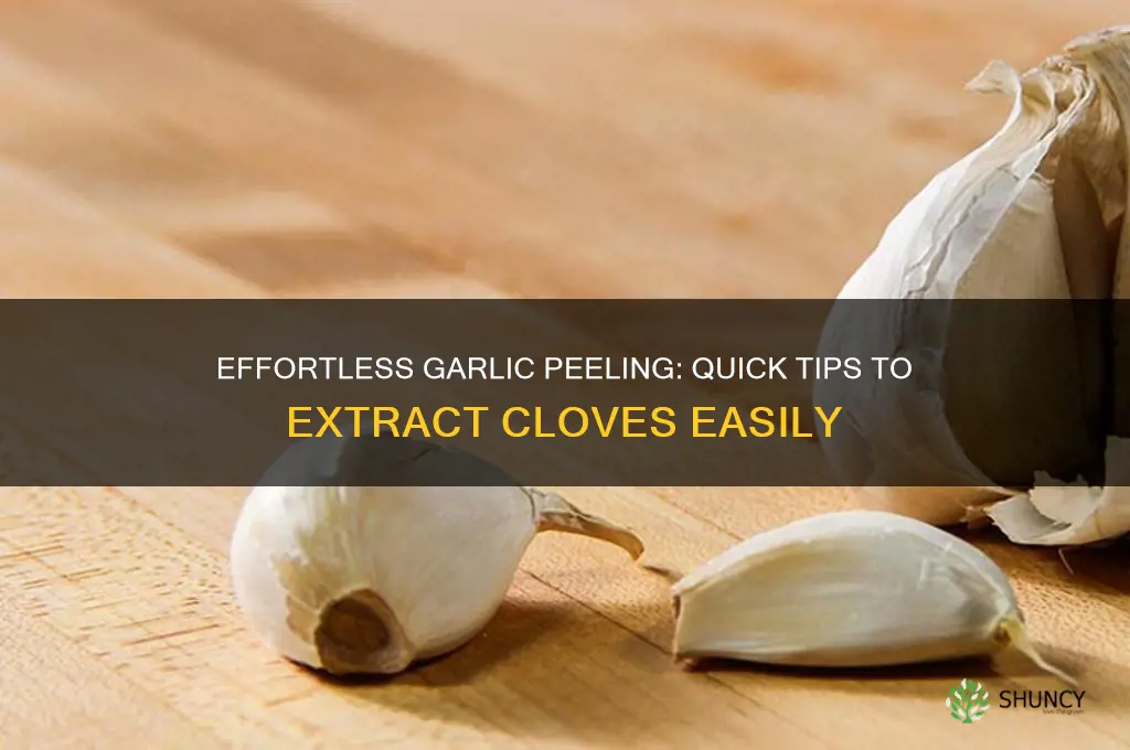 Effortless Garlic Peeling: Quick Tips To Extract Cloves Easily | ShunCy