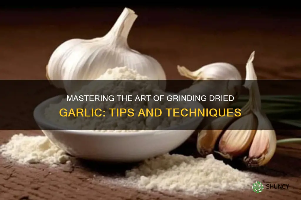 Mastering The Art Of Grinding Dried Garlic: Tips And Techniques | ShunCy