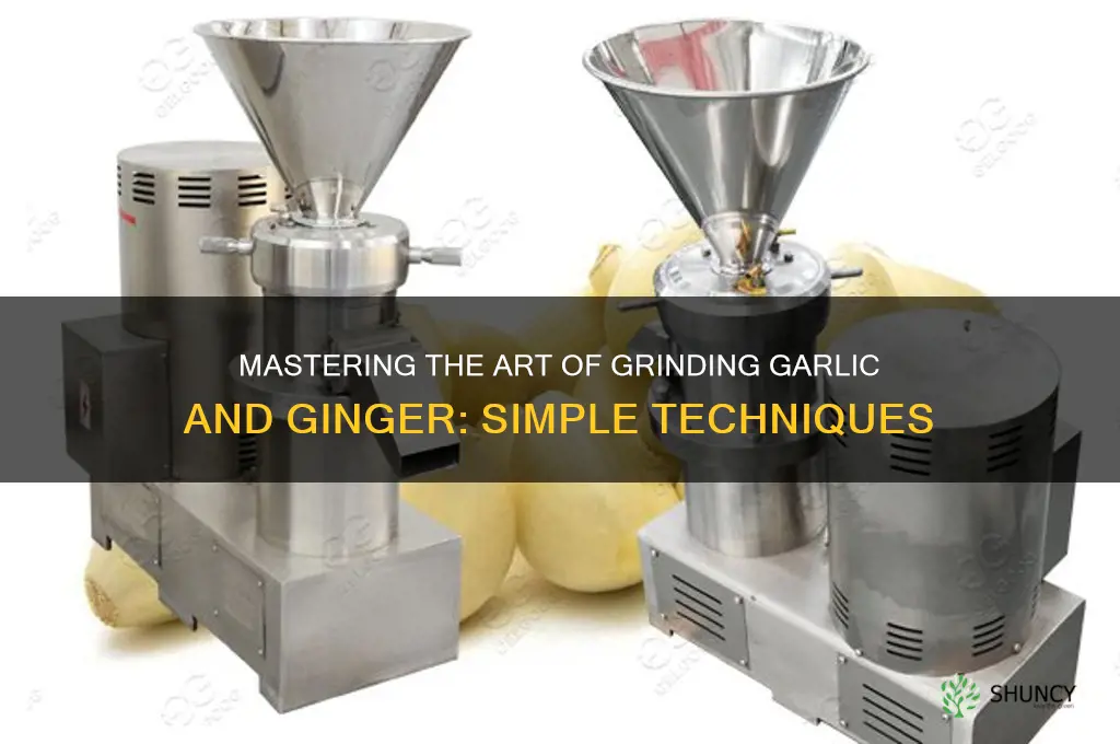 Mastering The Art Of Grinding Garlic And Ginger: Simple Techniques | ShunCy