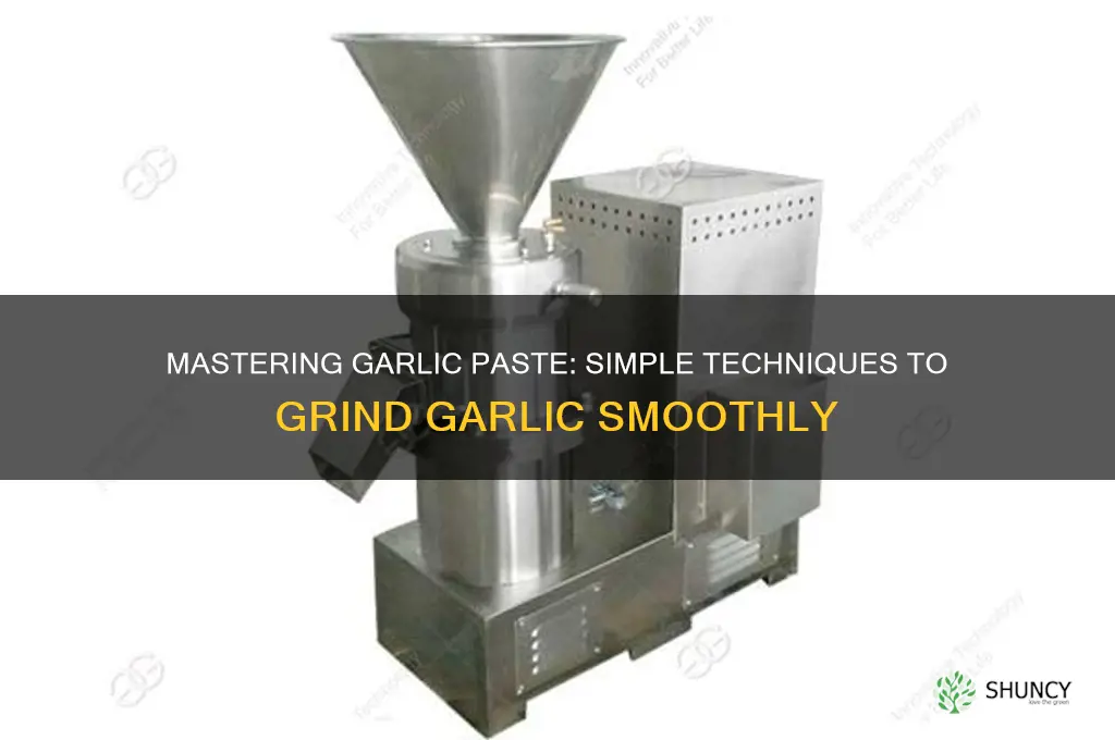 Mastering Garlic Paste: Simple Techniques To Grind Garlic Smoothly | ShunCy
