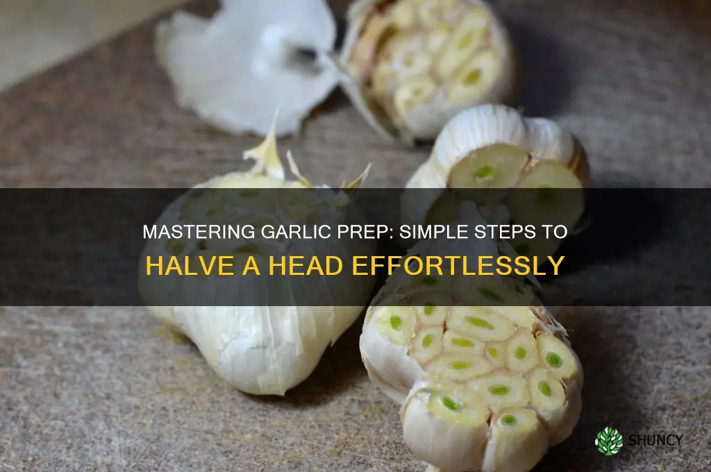 Mastering Garlic Prep: Simple Steps To Halve A Head Effortlessly | ShunCy