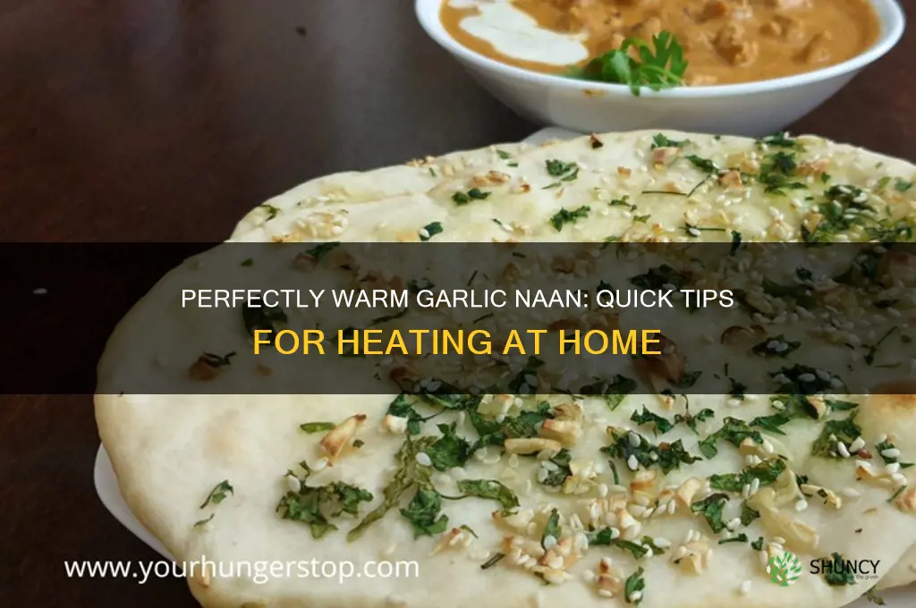 Perfectly Warm Garlic Naan: Quick Tips For Heating At Home | ShunCy