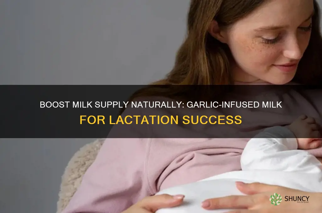 Boost Milk Supply Naturally: Garlic-Infused Milk For Lactation Success ...