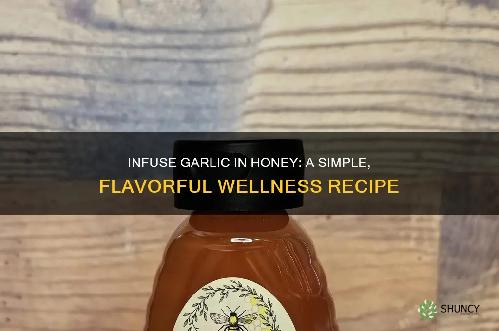 Infuse Garlic In Honey: A Simple, Flavorful Wellness Recipe | ShunCy