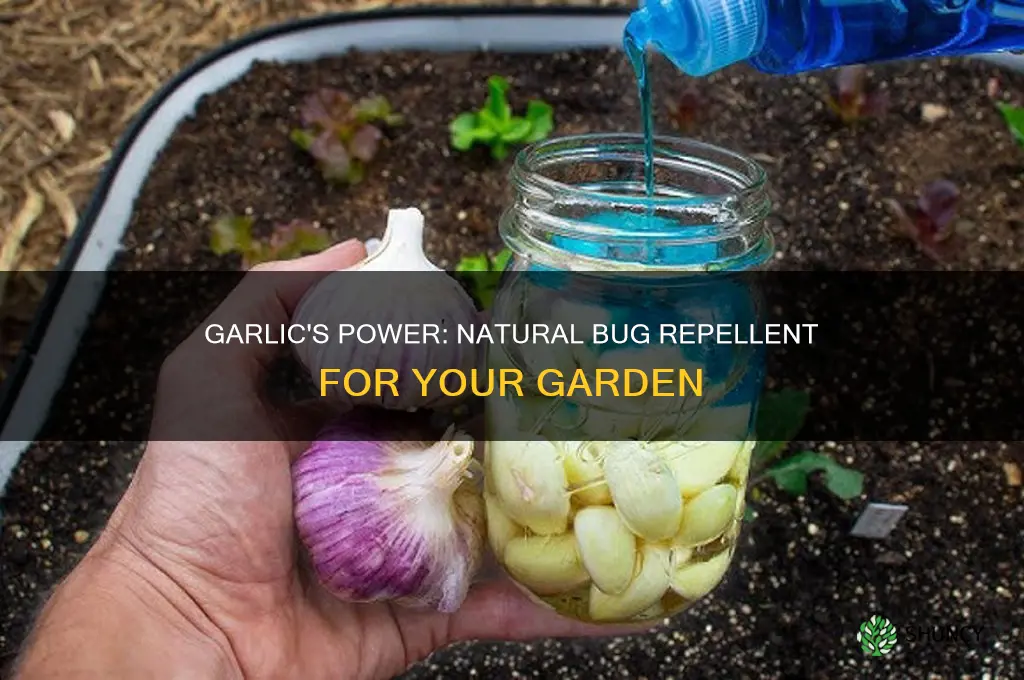 Garlic's Power: Natural Bug Repellent For Your Garden | ShunCy