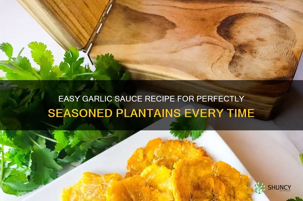 Easy Garlic Sauce Recipe For Perfectly Seasoned Plantains Every Time ...