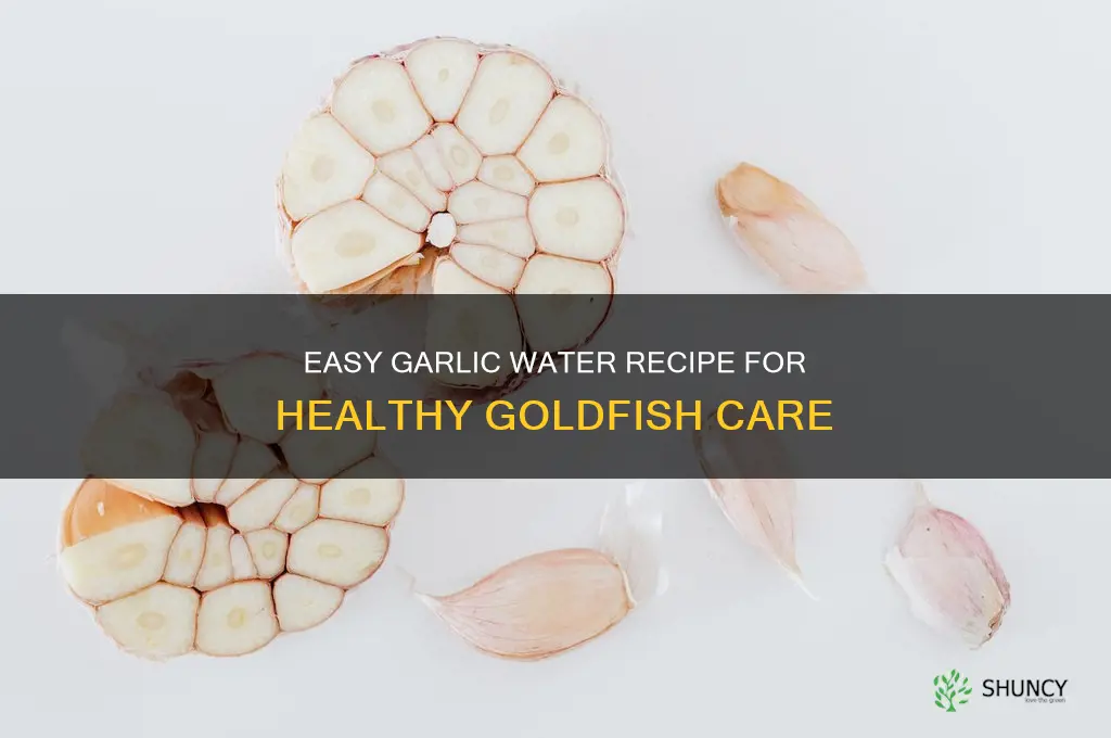 Easy Garlic Water Recipe For Healthy Goldfish Care | ShunCy