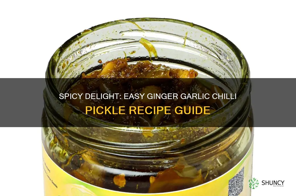 Spicy Delight: Easy Ginger Garlic Chilli Pickle Recipe Guide | ShunCy