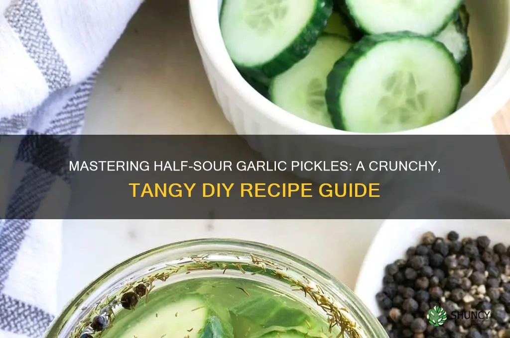 Mastering Half-Sour Garlic Pickles: A Crunchy, Tangy Diy Recipe Guide ...