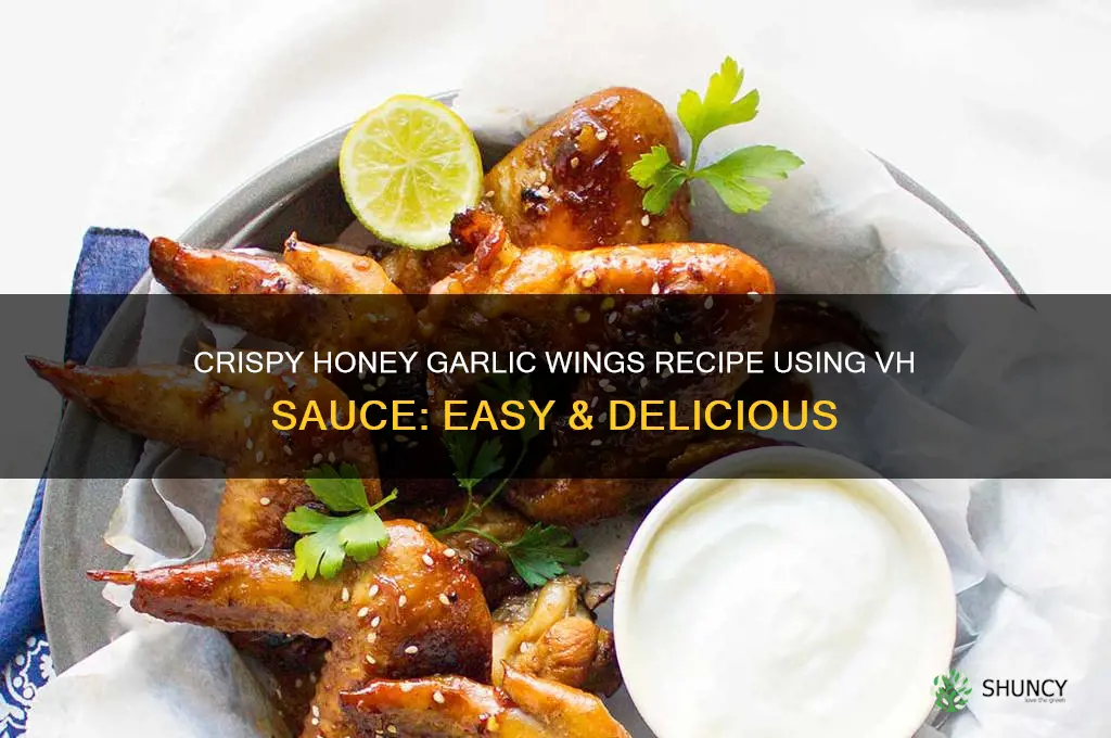 Crispy Honey Garlic Wings Recipe Using Vh Sauce: Easy & Delicious | ShunCy