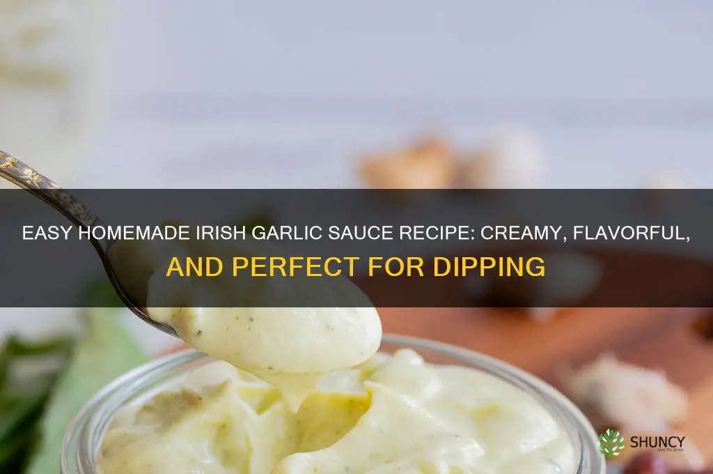 Easy Homemade Irish Garlic Sauce Recipe: Creamy, Flavorful, And Perfect ...