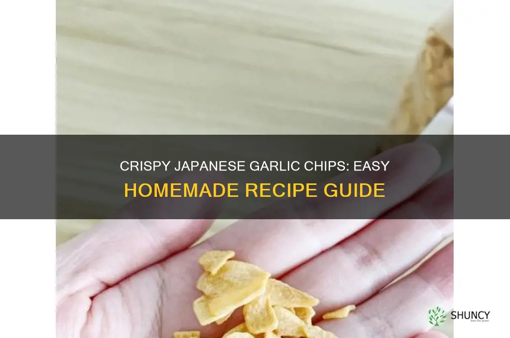 Crispy Japanese Garlic Chips: Easy Homemade Recipe Guide | ShunCy